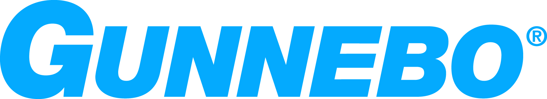 Pinnacle IT Implements High Availability Solutions in Oman